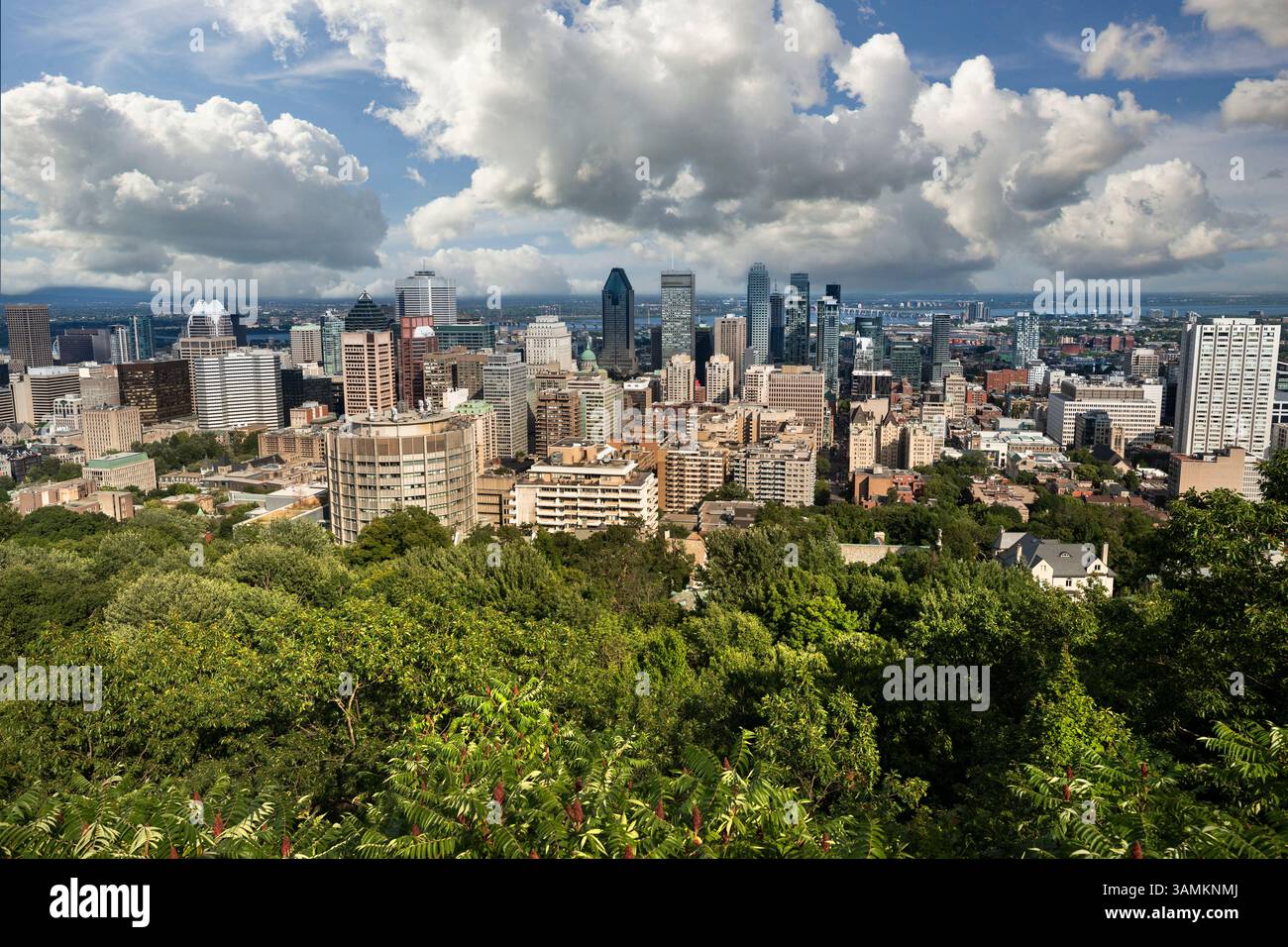 Urban city skyline in Montreal, Canada Stock Photo - Alamy