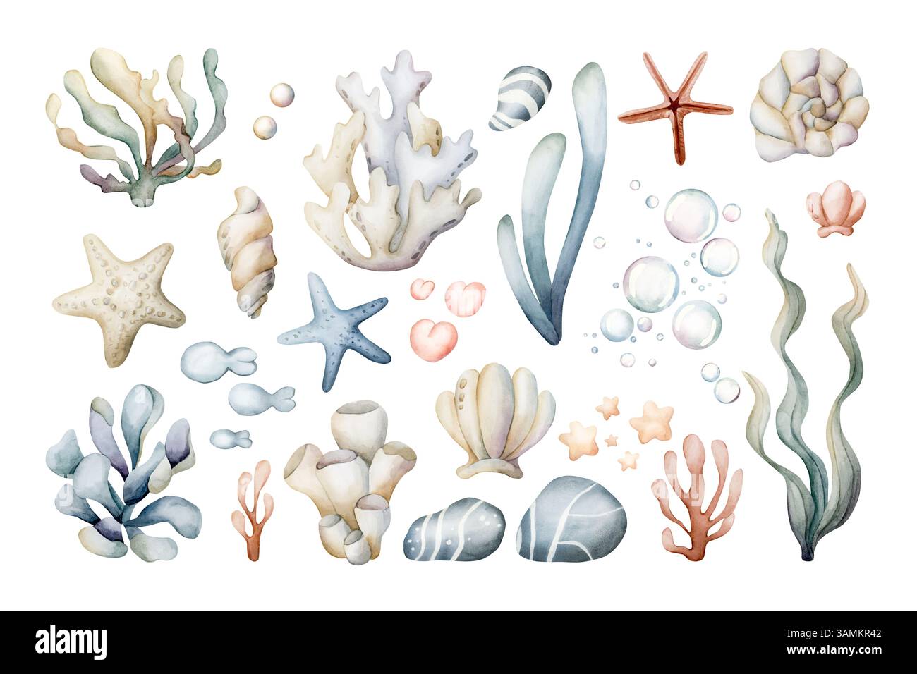 Underwater plants and animals clipart set. Cute seaweeds algae, sea ...