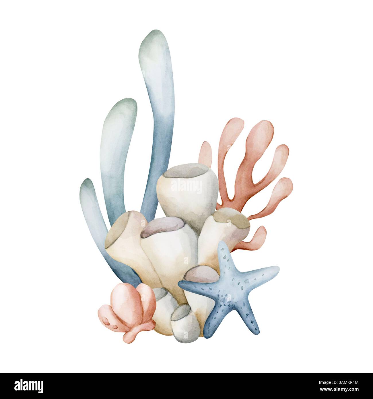 Seaweed Algae Sea Coral Sponge Starfish Shell. Cute ocean underwater ...