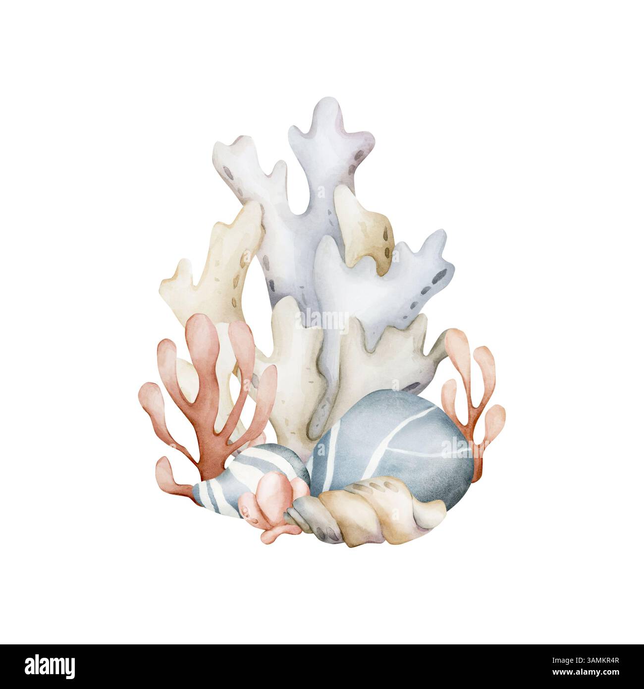 Seaweed Algae Sea Shell Coral Sponge Pebbles. Cute marine underwater ...