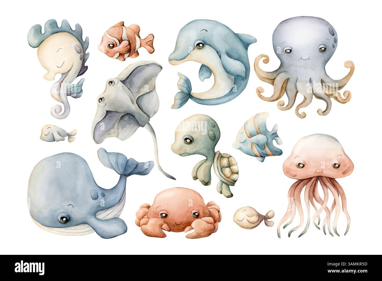 Sea Animals Whale Dolphin Turtle Watercolor Clipart isolated on white ...