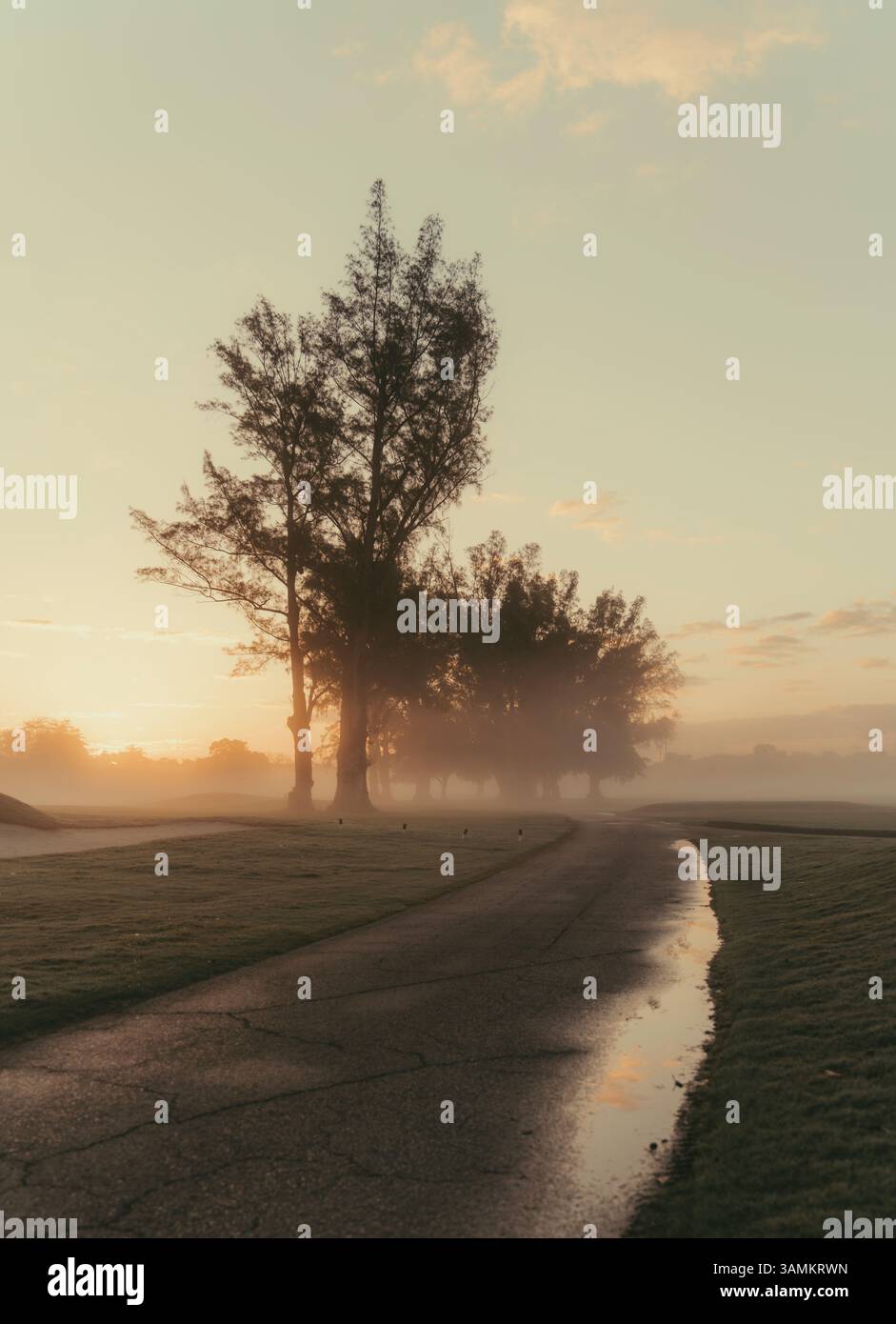 sunrise in the fog beautiful scene landscape Florida Stock Photo - Alamy
