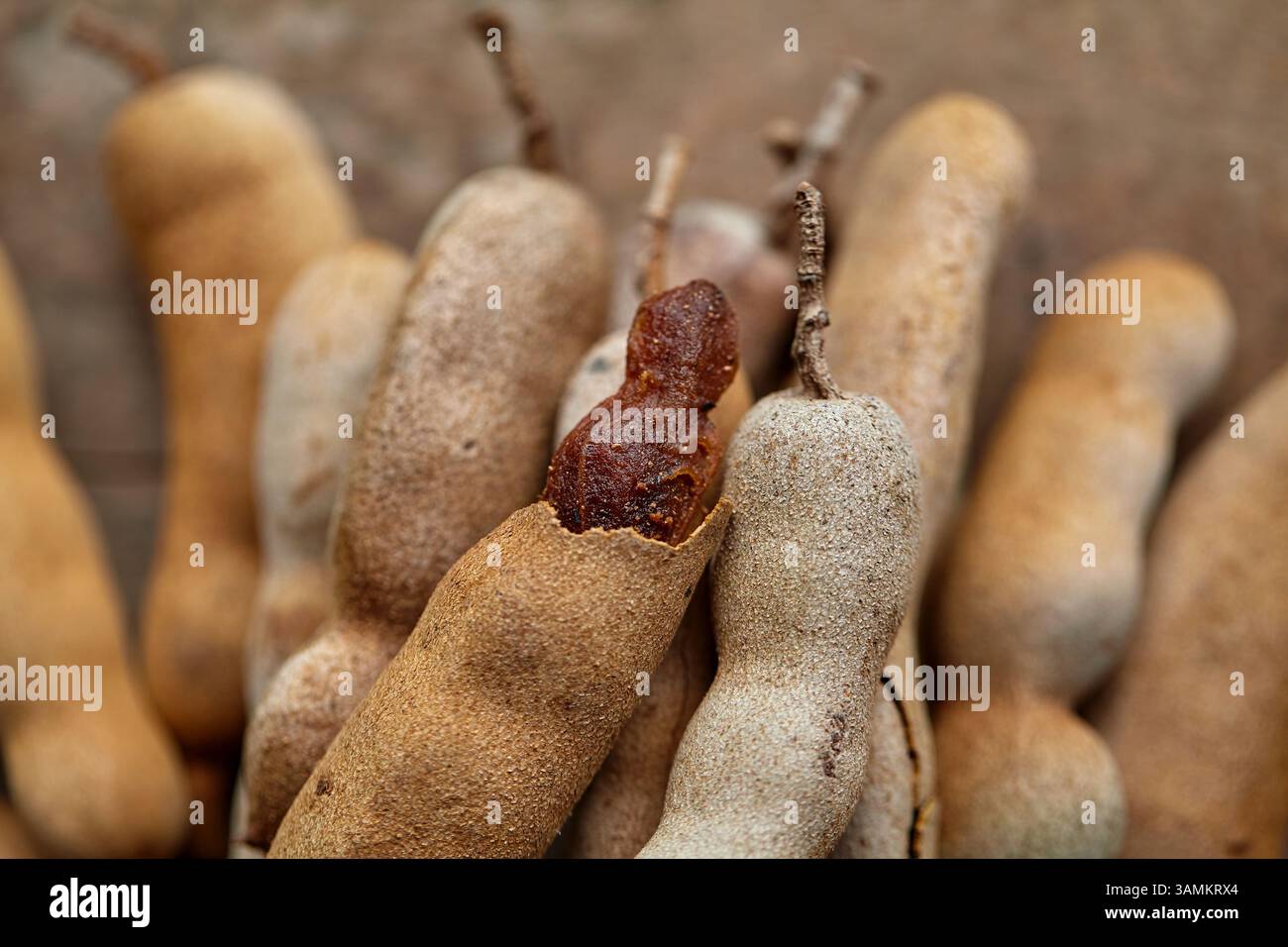 Close up tamarind fruit hi-res stock photography and images - Alamy
