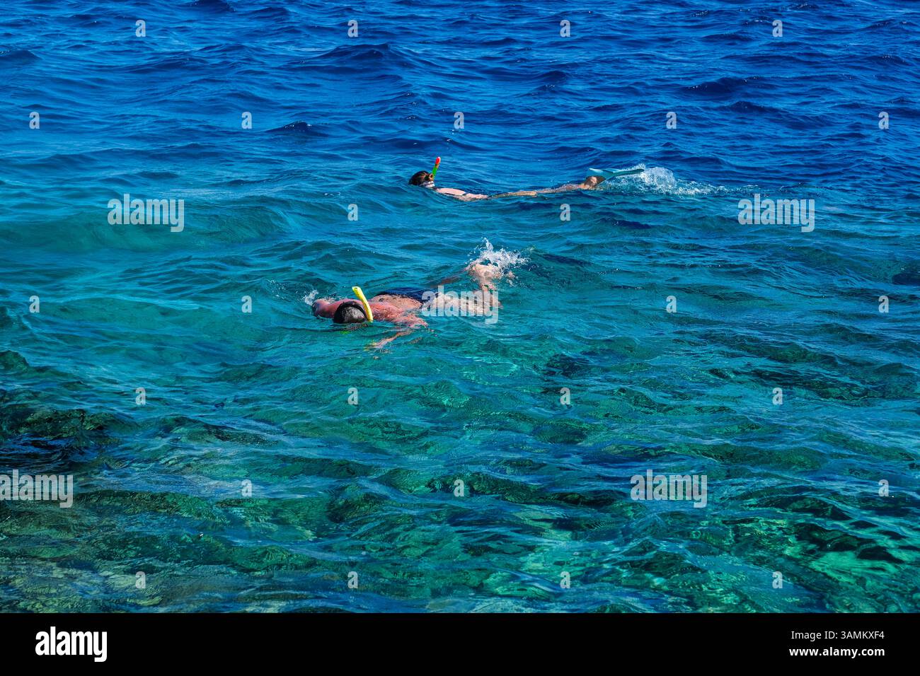 Two people are swimming in the ocean wearing snorkeling gear. The water ...