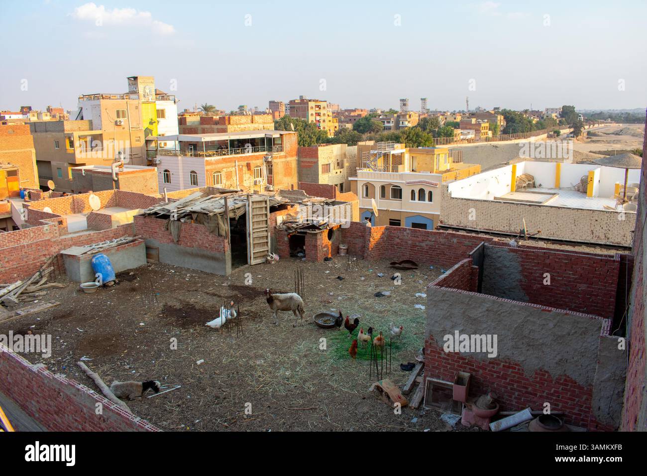 17.10.24 Giza, Egypt: Aerial view on buildings in slums, poor district ...