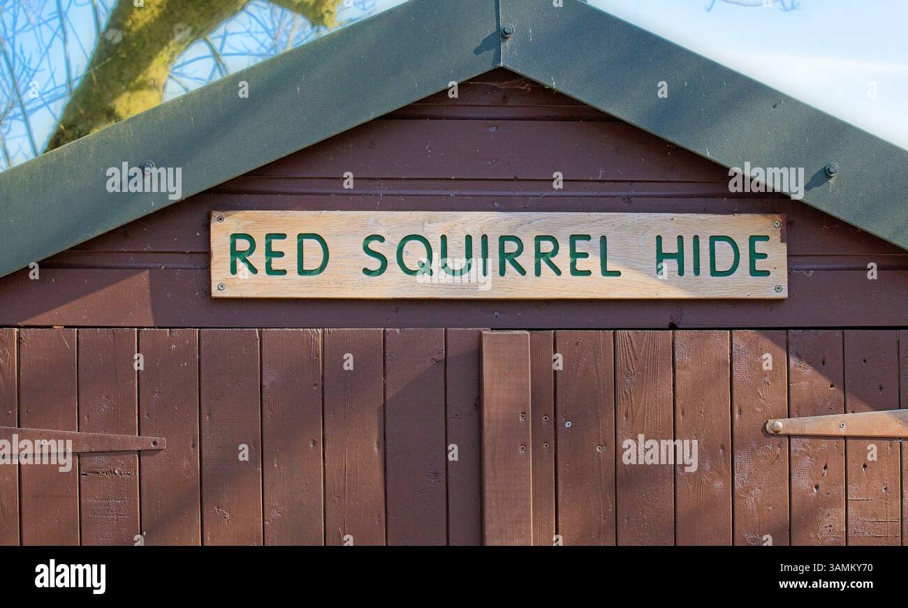Red Squirrel hide sign Stock Photo - Alamy
