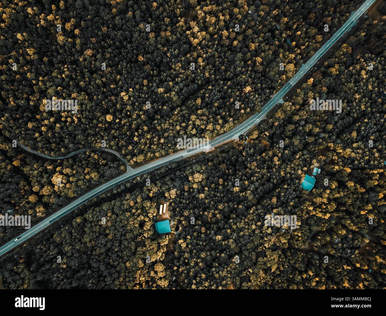 Aerial view of green trees and diagonal straight street in Canada Stock ...