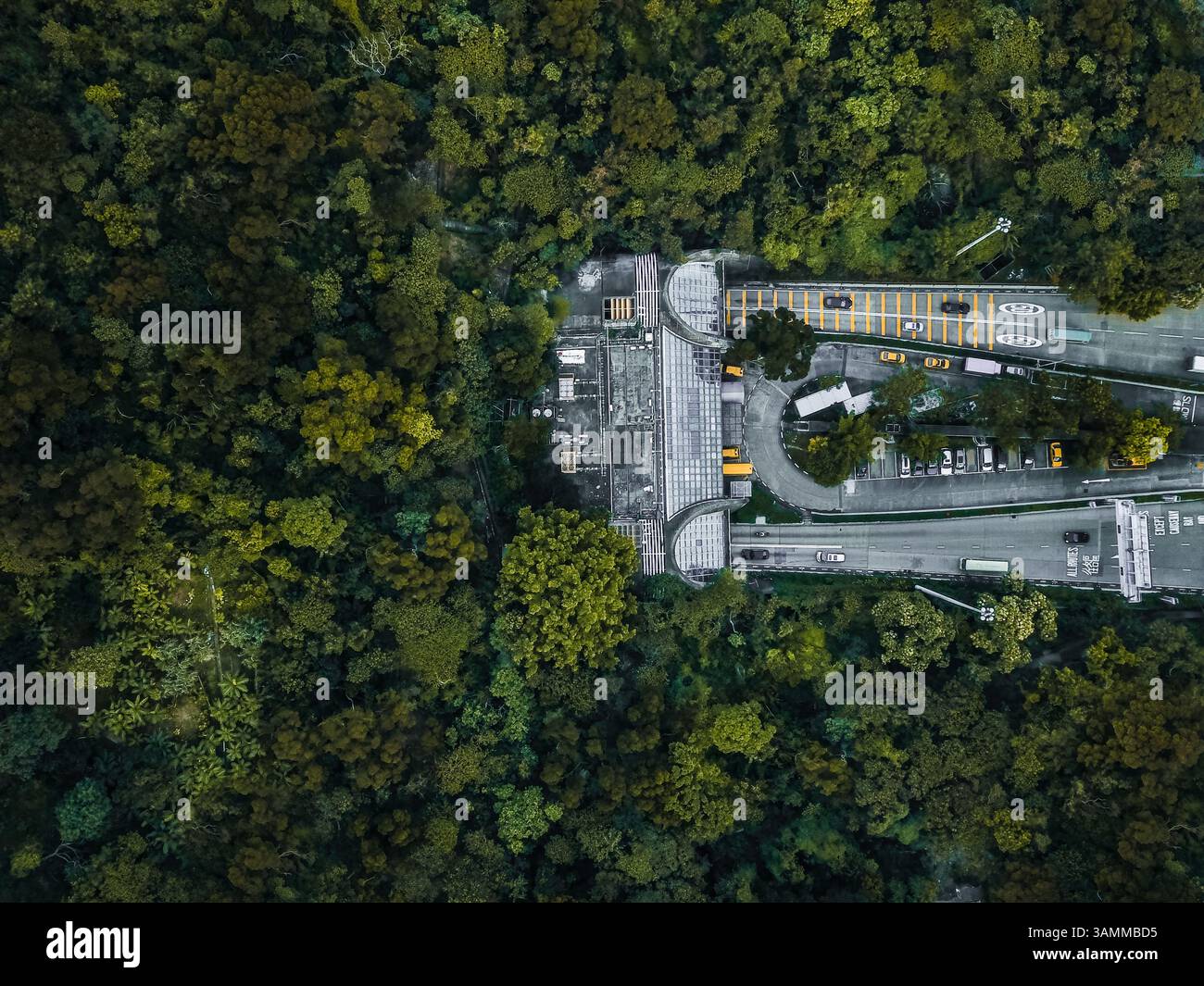 Aerial view of Hong Kong tunnel between trees in Hong Kong Stock Photo ...