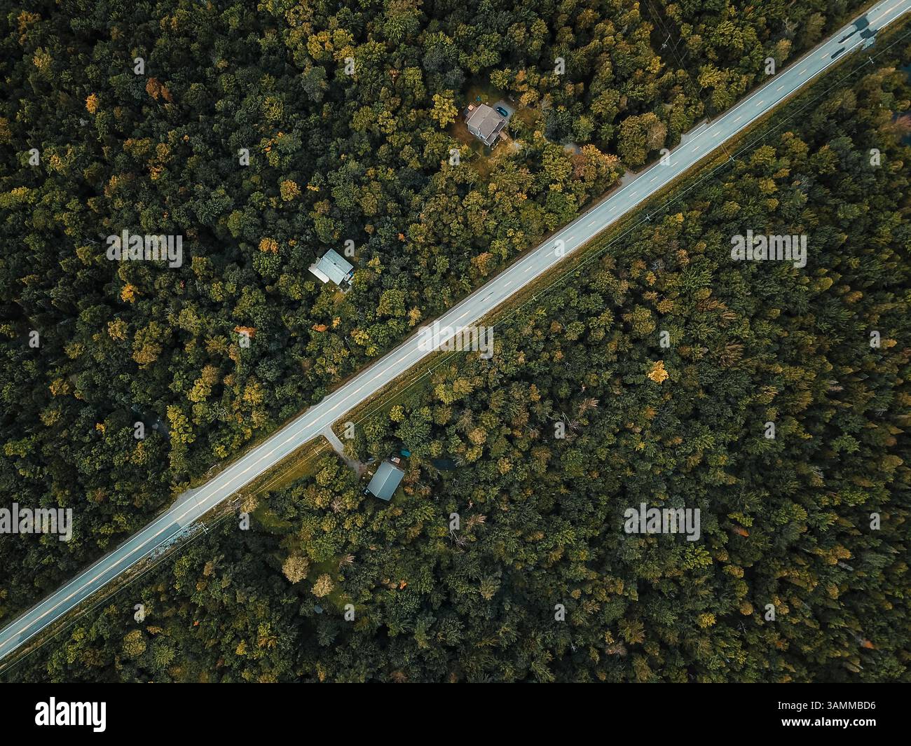 Aerial view of green trees and diagonal straight street in Canada Stock ...