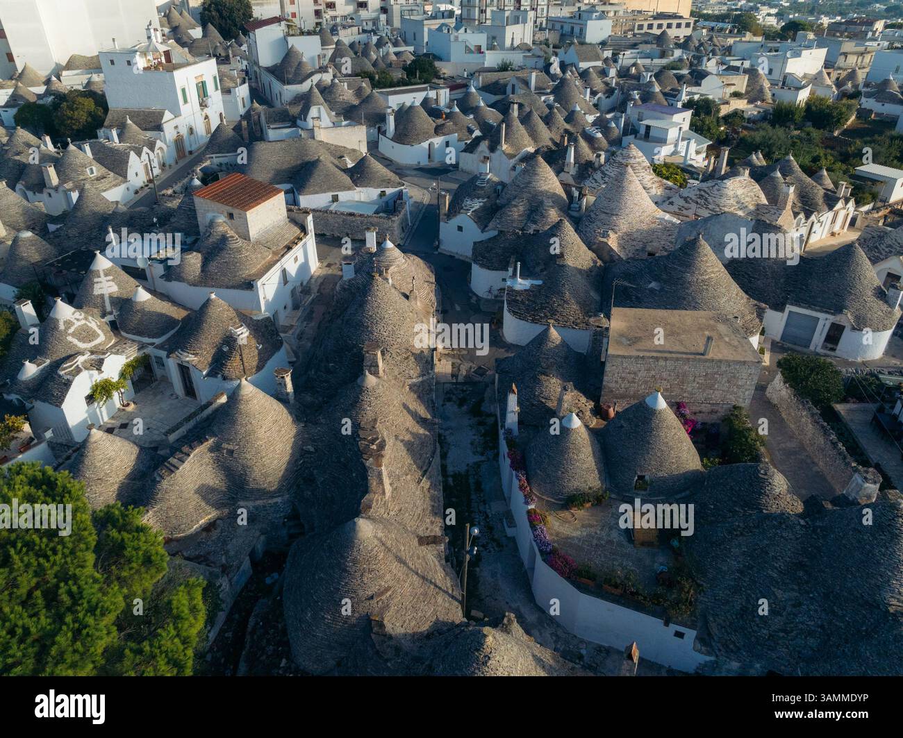 Aerial view of the picturesque trulli rooftops in the charming old town ...