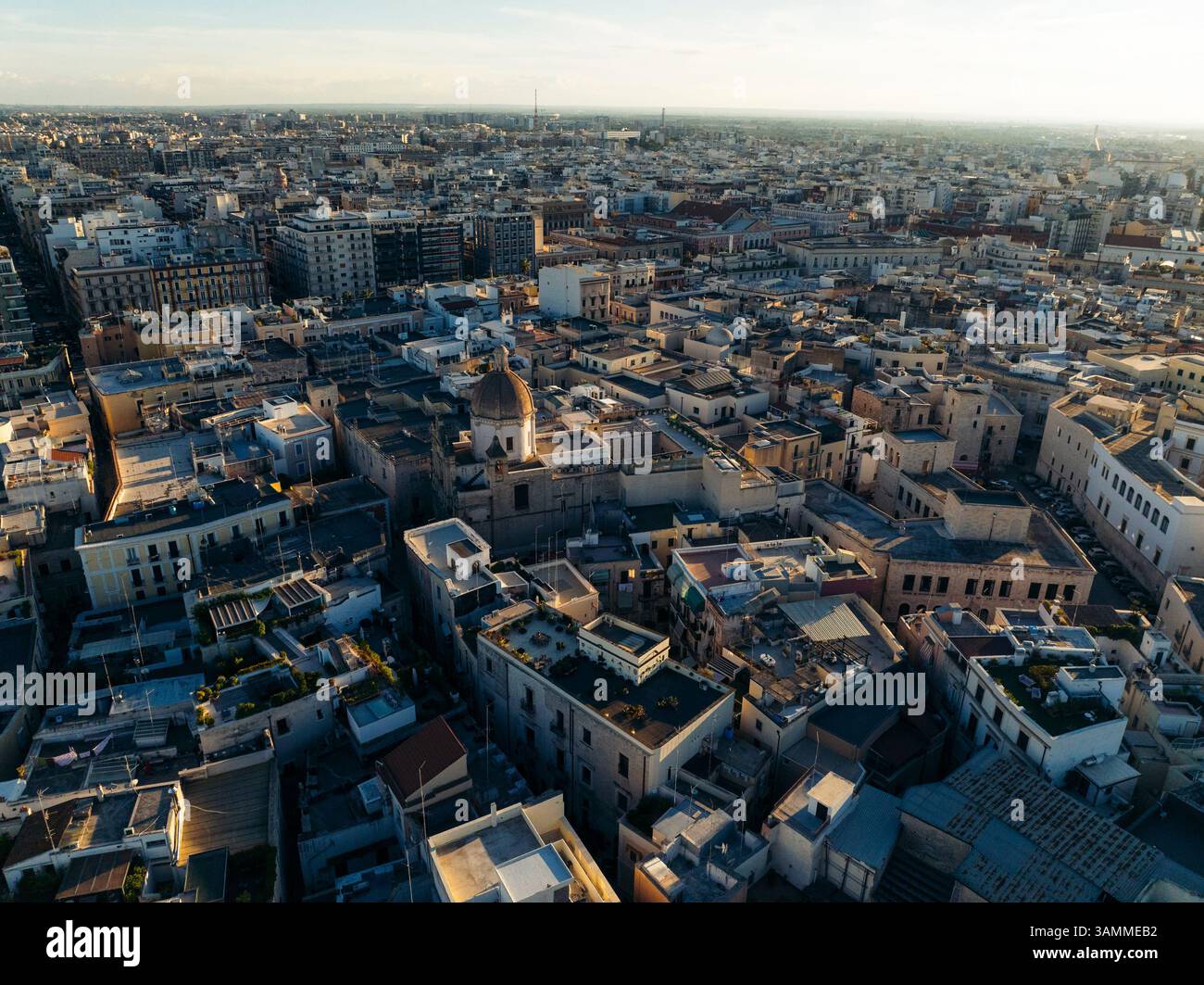Aerial view of vibrant cityscape with historic architecture and ...