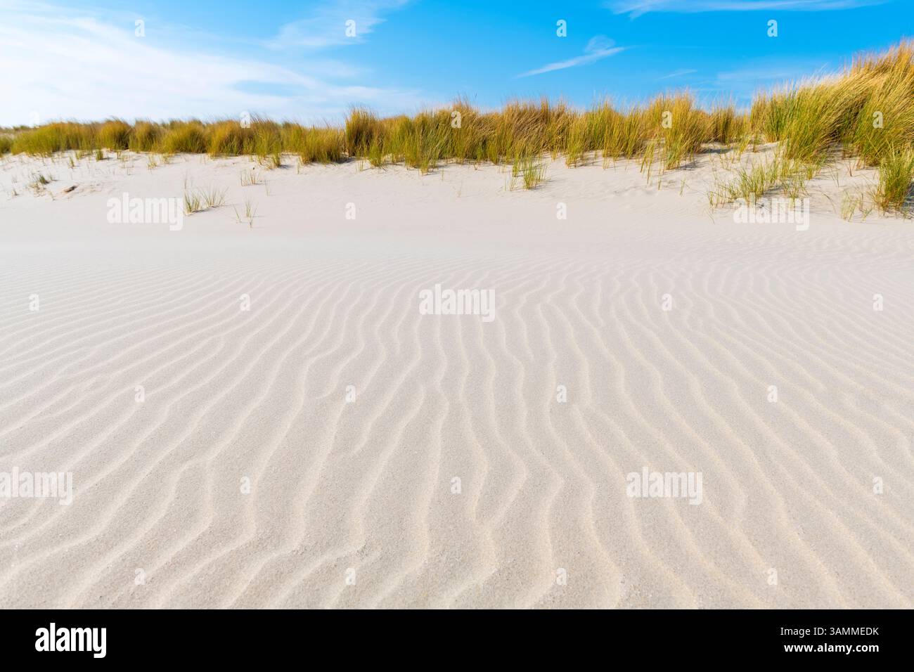 Sand ripples and dunes by a North Sea beach, Oostende (Ostend), Belgium ...