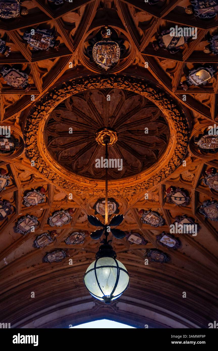 Ornate vaulted ceiling with coats of arms and hanging lamp in dim ...