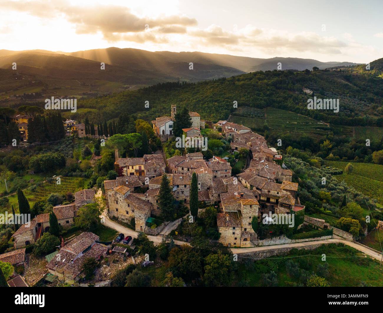 Aerial view of a picturesque village with rustic architecture and ...