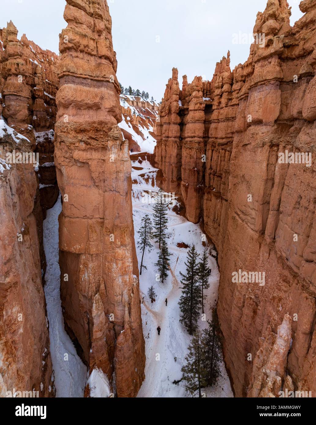Aerial view of breathtaking rock formations and snow-covered pine trees ...