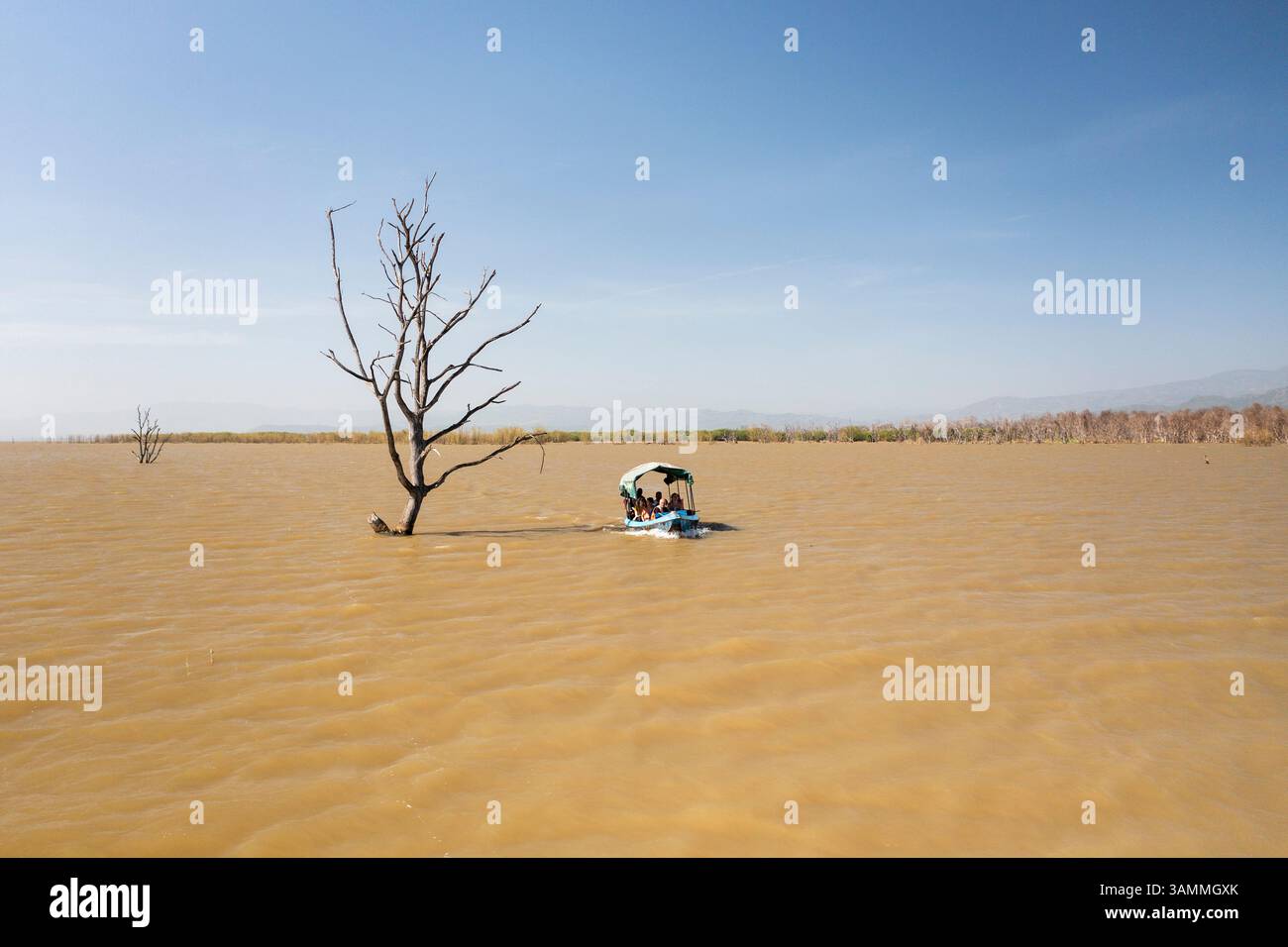 Aerial view of a tranquil river surrounded by barren trees and vast ...