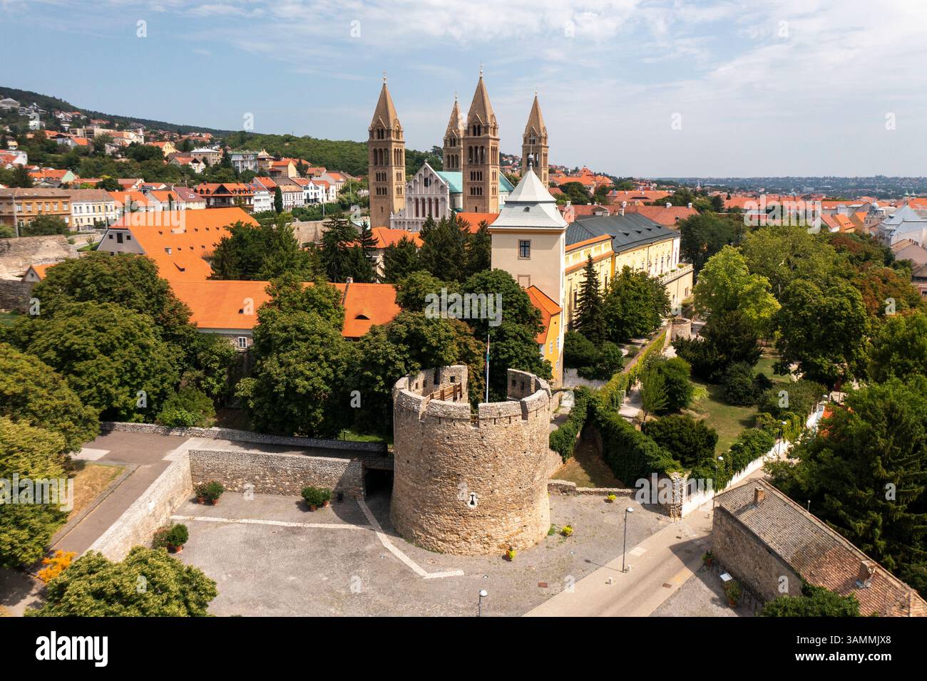 Aerial view of the historic cityscape featuring a cathedral and towers ...