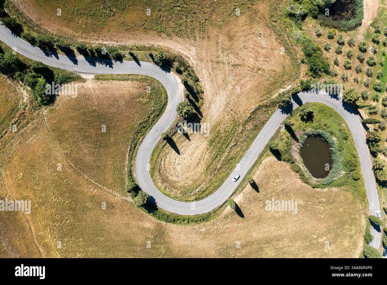 Aerial view of winding road through lush green landscape with serene ...