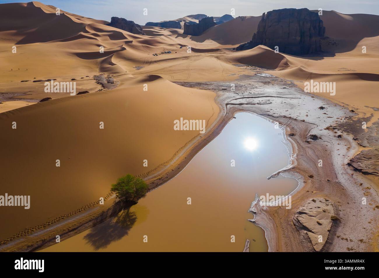 Aerial View of an oasis in the Sahara desert at sunset, Djanet, Algeria ...