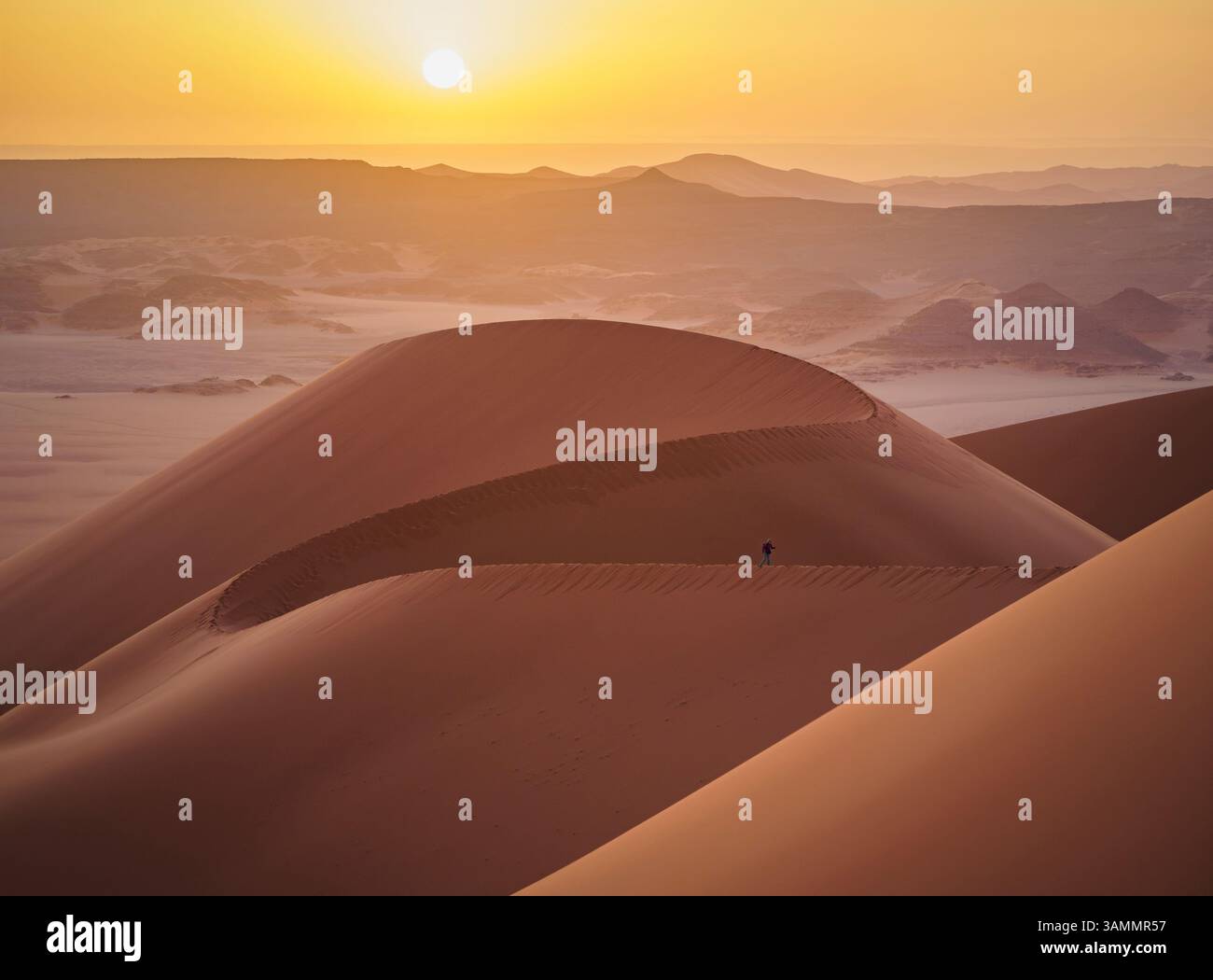 Aerial View of a person walking on the sand dunes at sunset in the ...