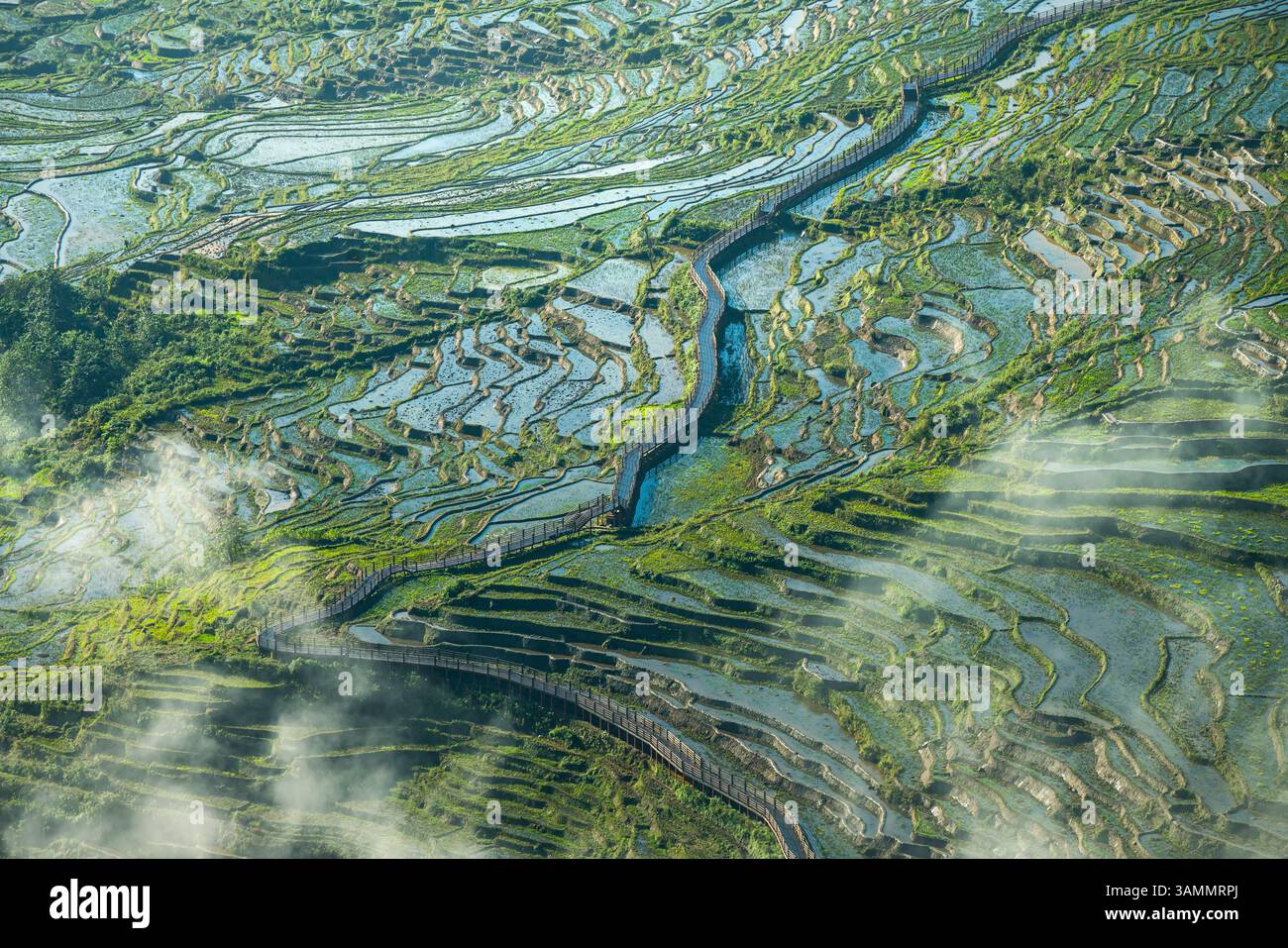 Aerial view of Honghe Hani Rice Terraces on the hills in Yunnan ...