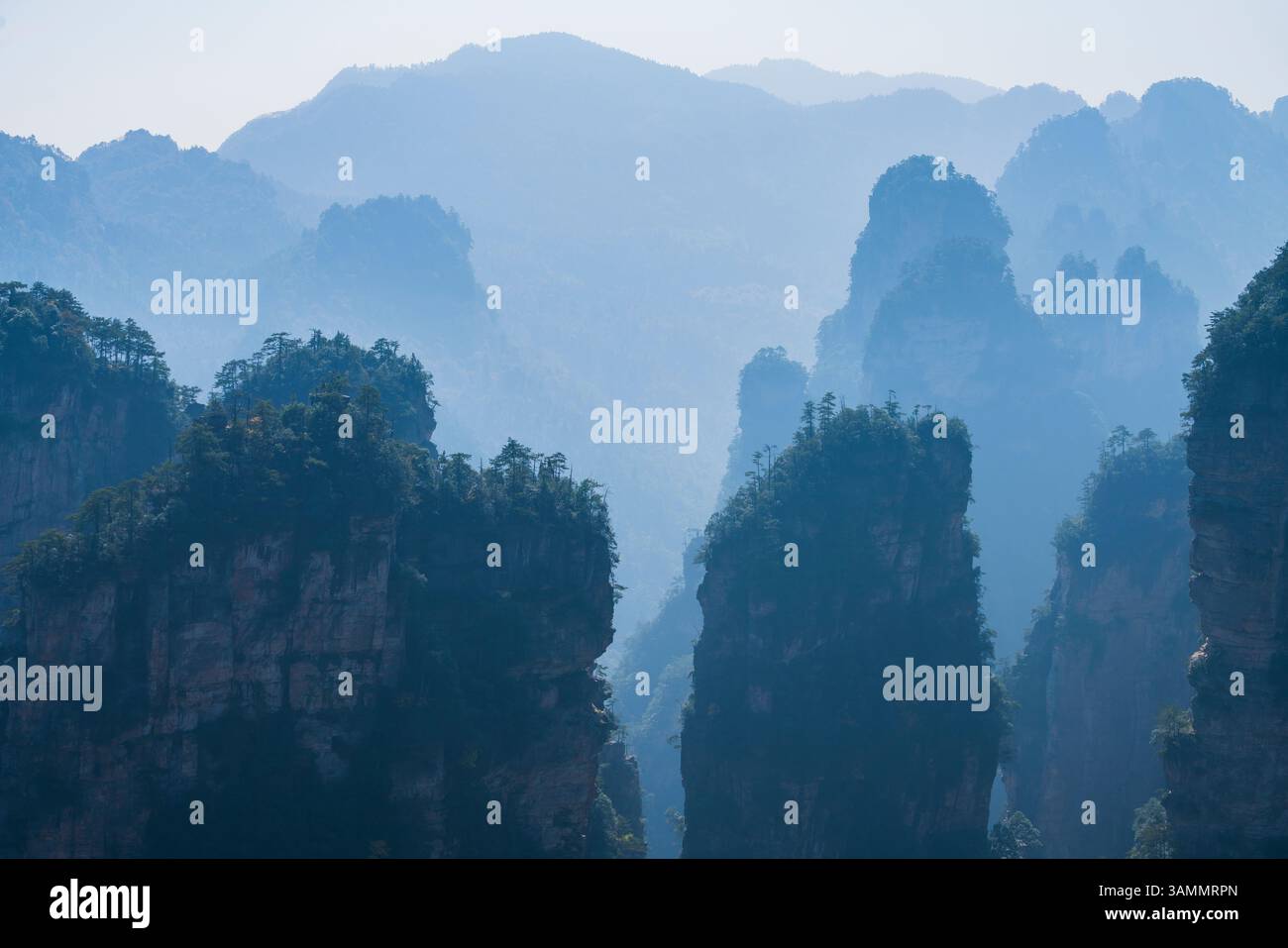 Aerial view of Zhangjiajie National Forest Park at sunset on Avatar ...