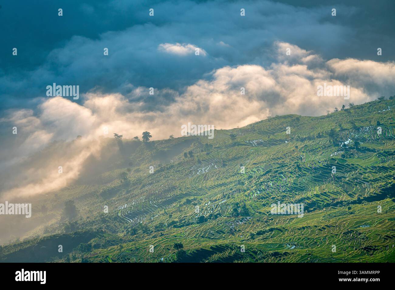 Aerial view of Honghe Hani Rice Terraces on the hills in Yunnan ...