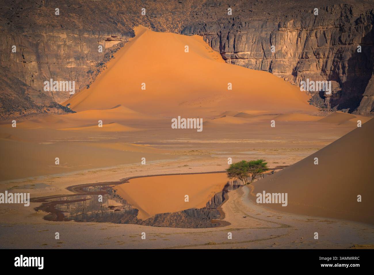 Aerial View of an oasis in the Sahara desert at sunset, Djanet, Algeria ...