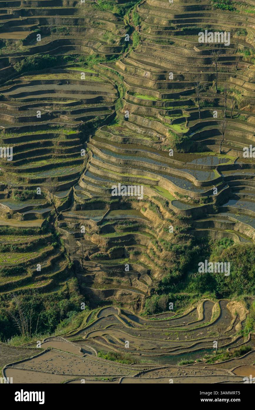 Aerial view of Honghe Hani Rice Terraces on the hills in Yunnan ...