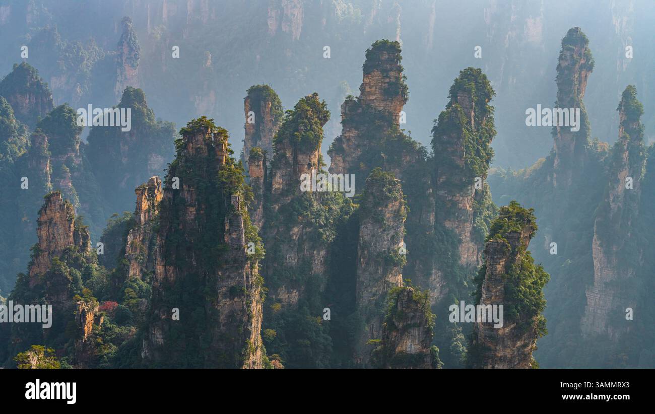 Aerial view of Zhangjiajie National Forest Park at sunset on Avatar ...