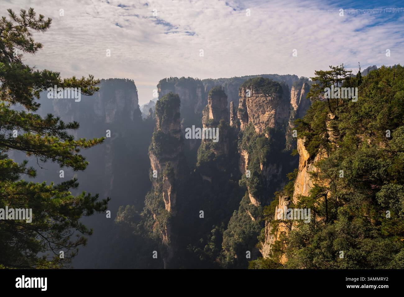Aerial view of Zhangjiajie National Forest Park at sunset on Avatar ...