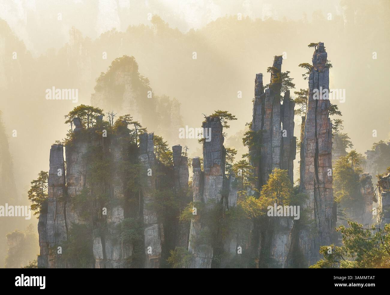 Aerial view of Zhangjiajie National Forest Park at sunset on Avatar ...