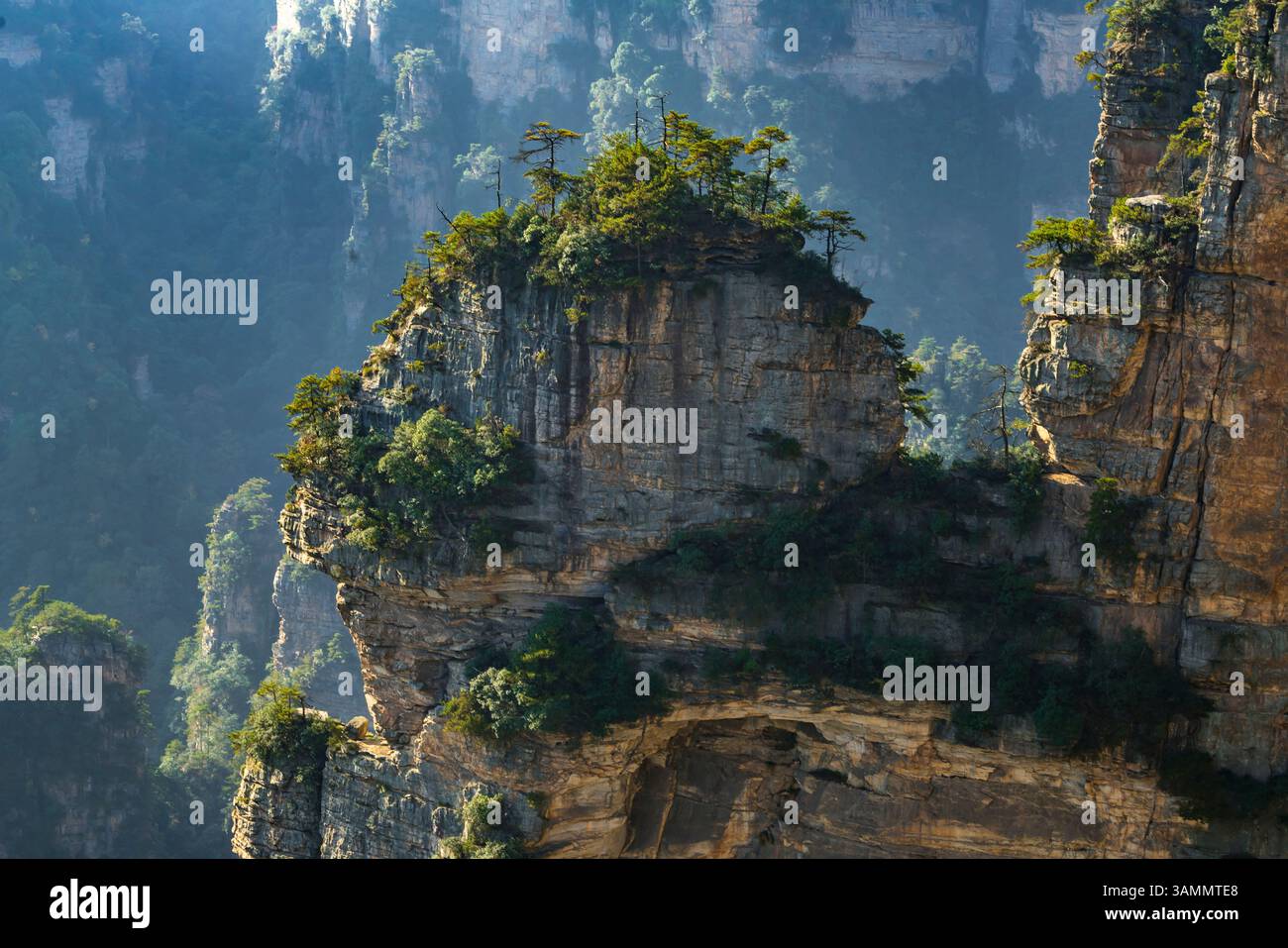Aerial view of Zhangjiajie National Forest Park at sunset on Avatar ...