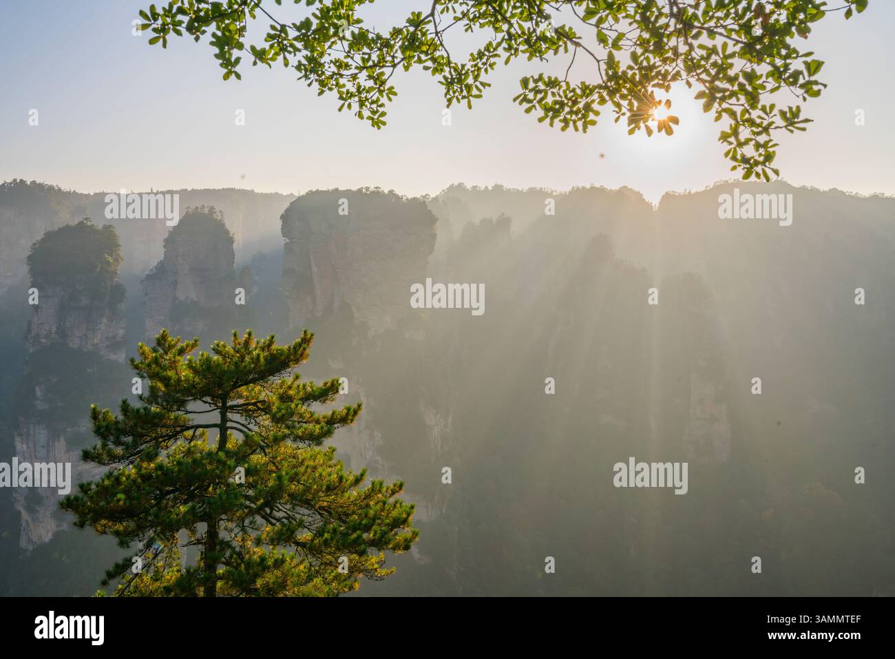 Aerial view of Zhangjiajie National Forest Park at sunset on Avatar ...