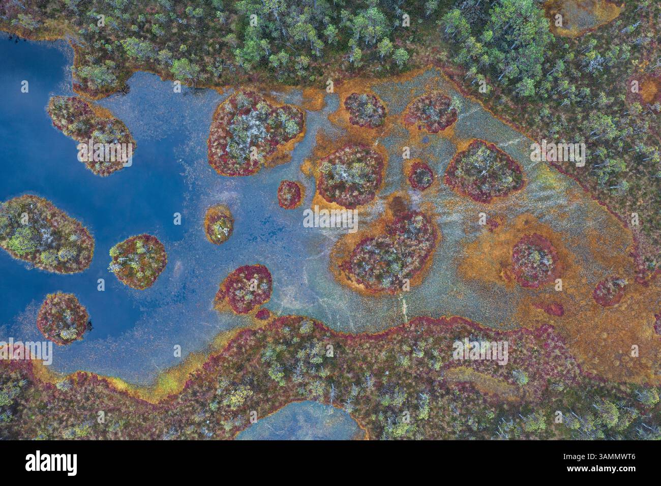 Aerial view of Ozero Rybachye lake, Karelia, Russia Stock Photo - Alamy