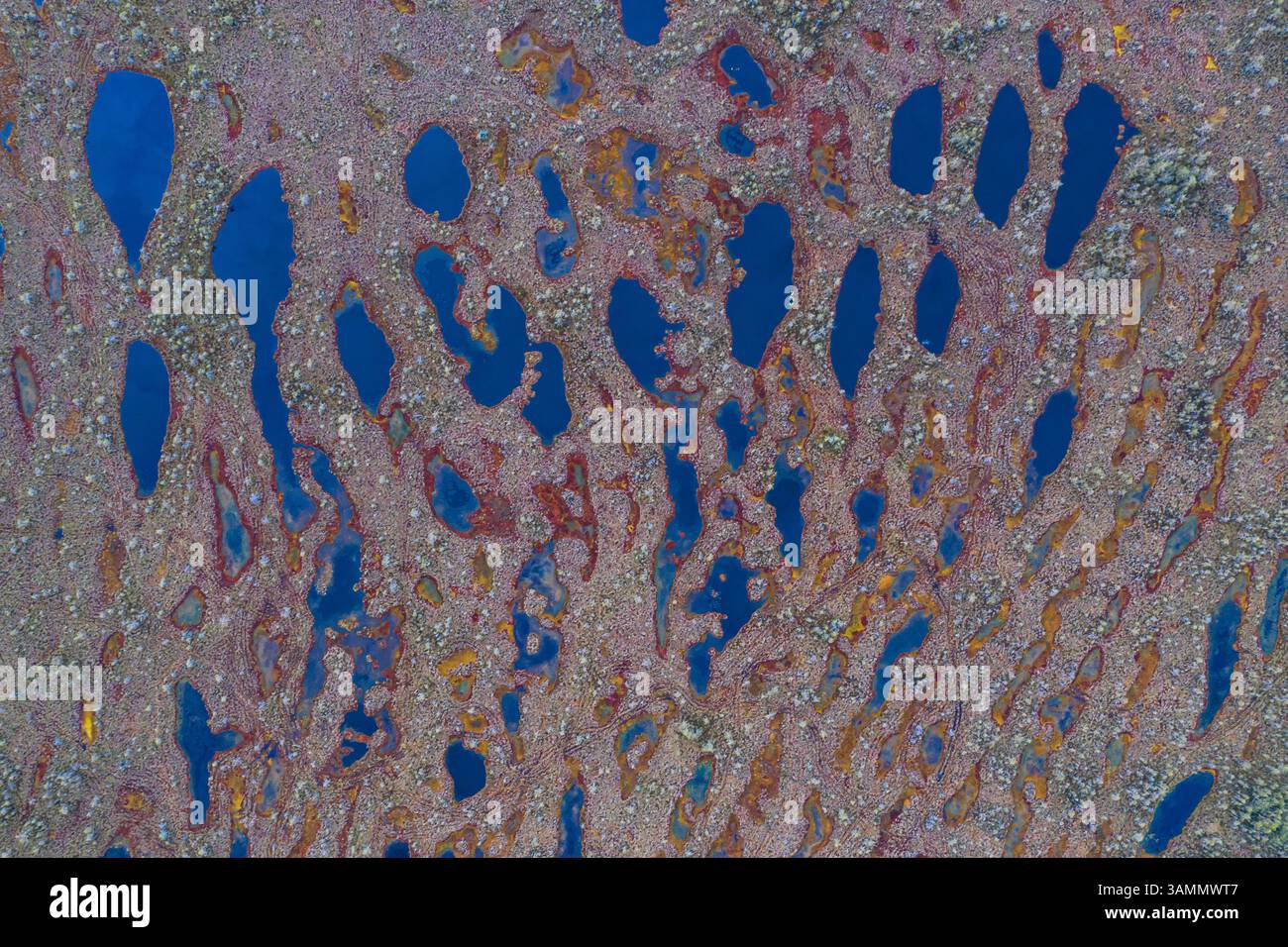 Ozero rybachye lake hi-res stock photography and images - Alamy