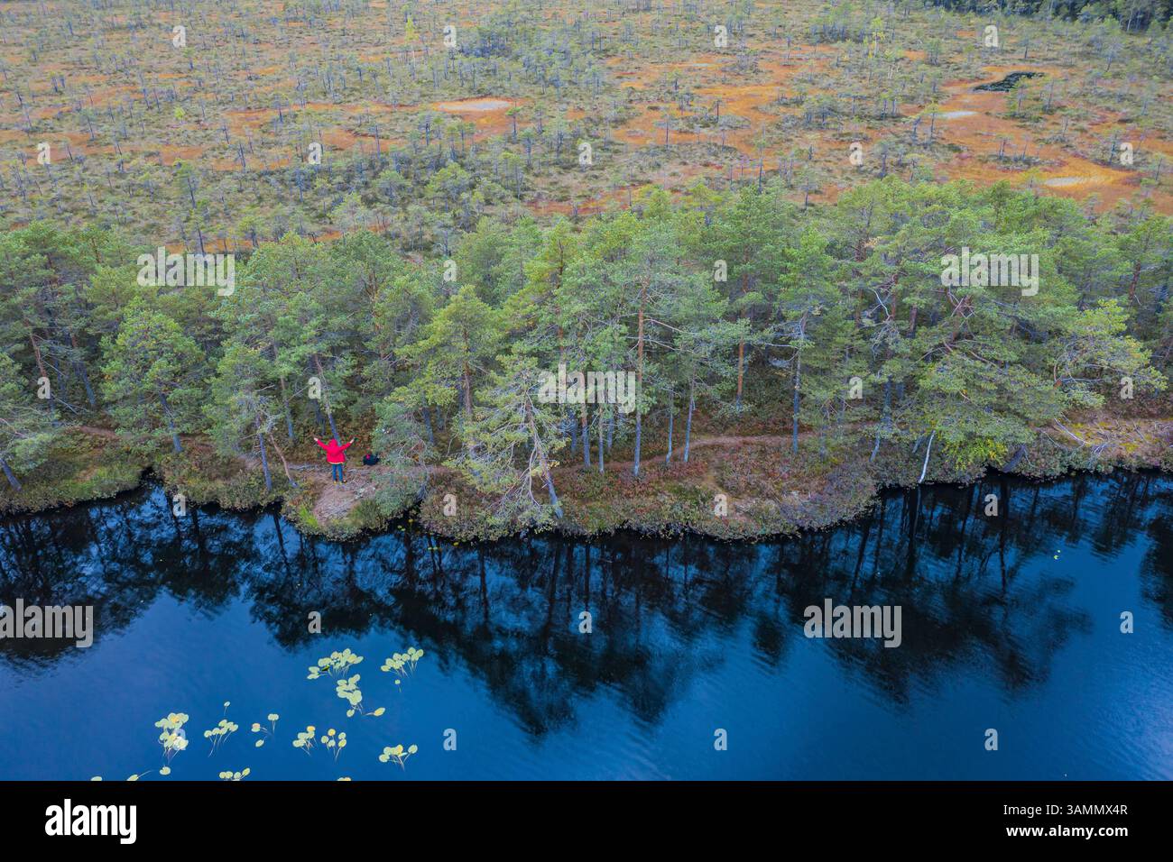 Aerial view of Ozero Rybachye lake, Roschinskoe, Karelia, Russia Stock ...