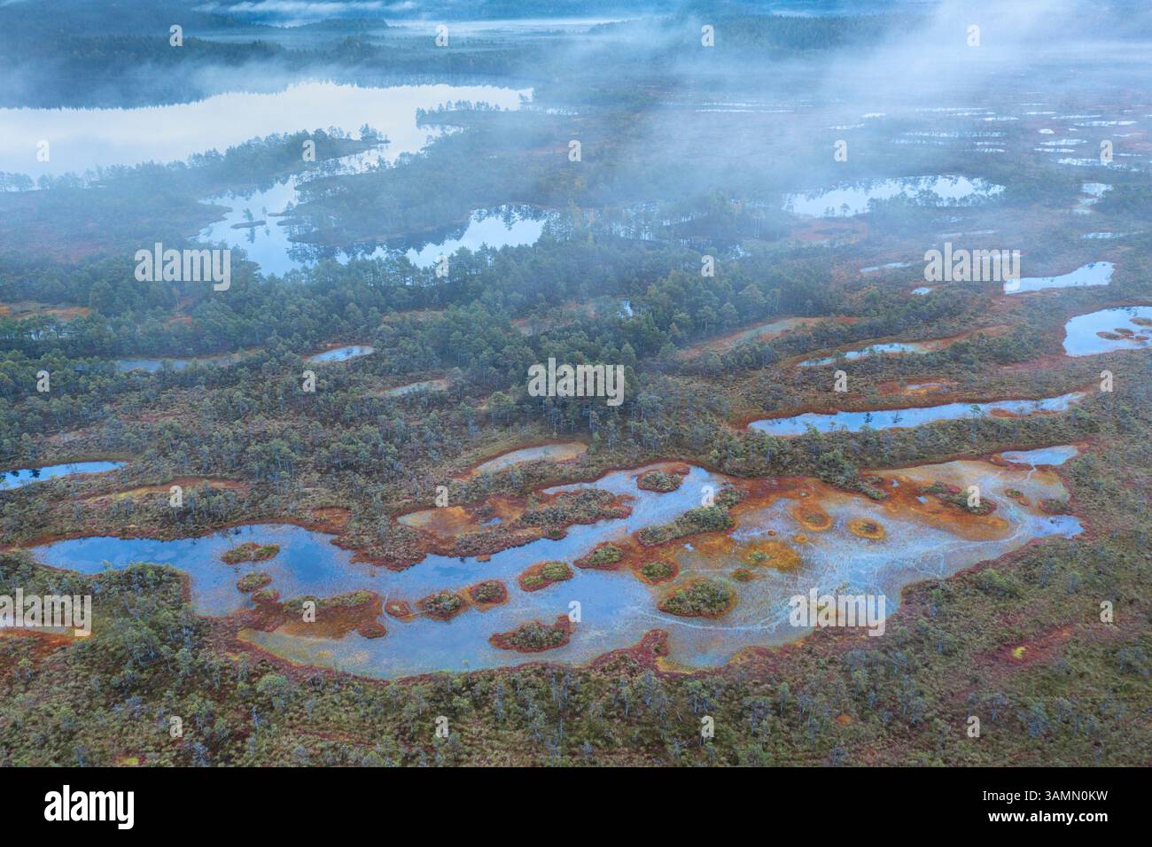Aerial view of a swamp with small ponds at sunset in the countryside ...
