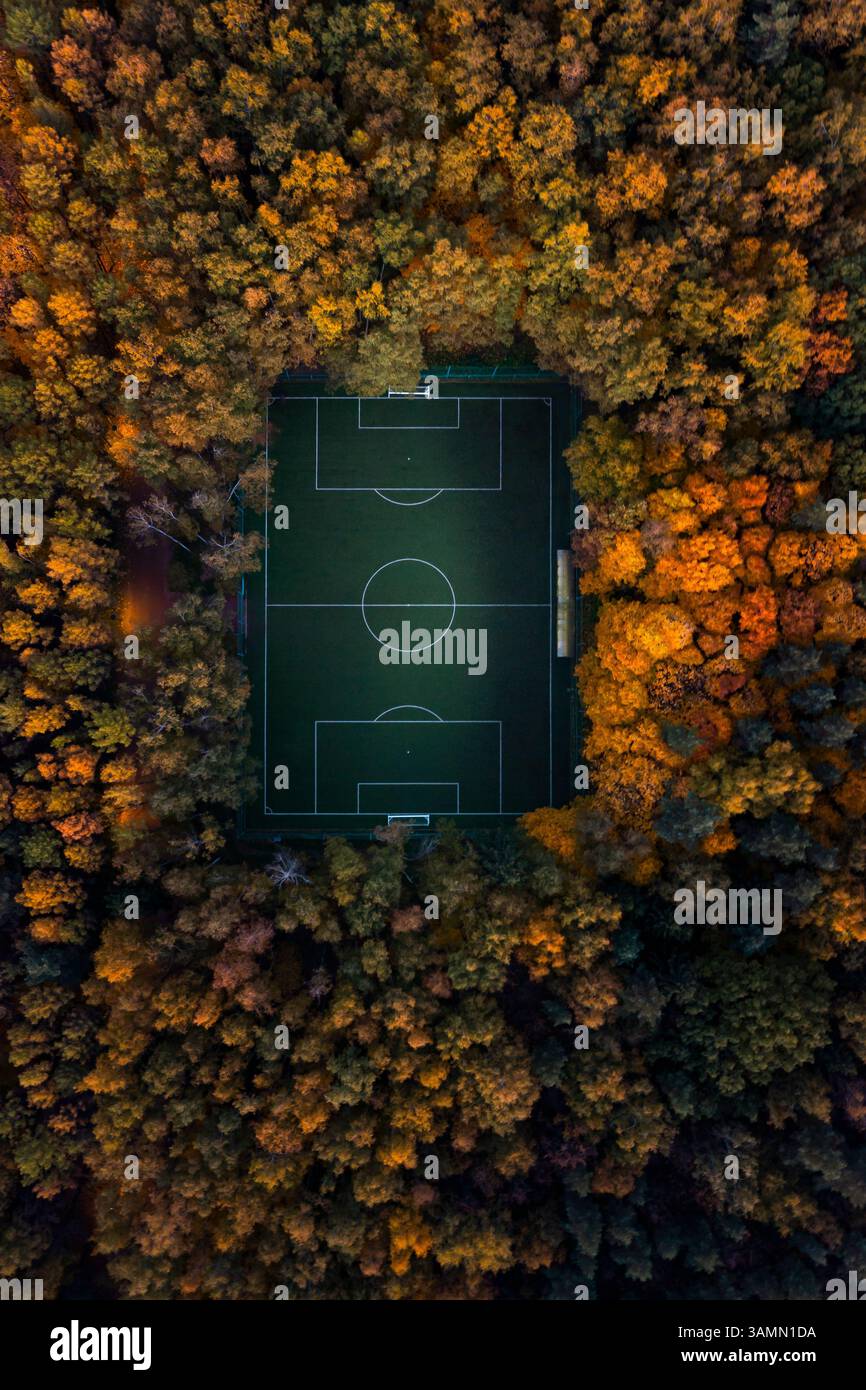 Aerial view of a football field in a forest surrounded by trees, Moscow ...