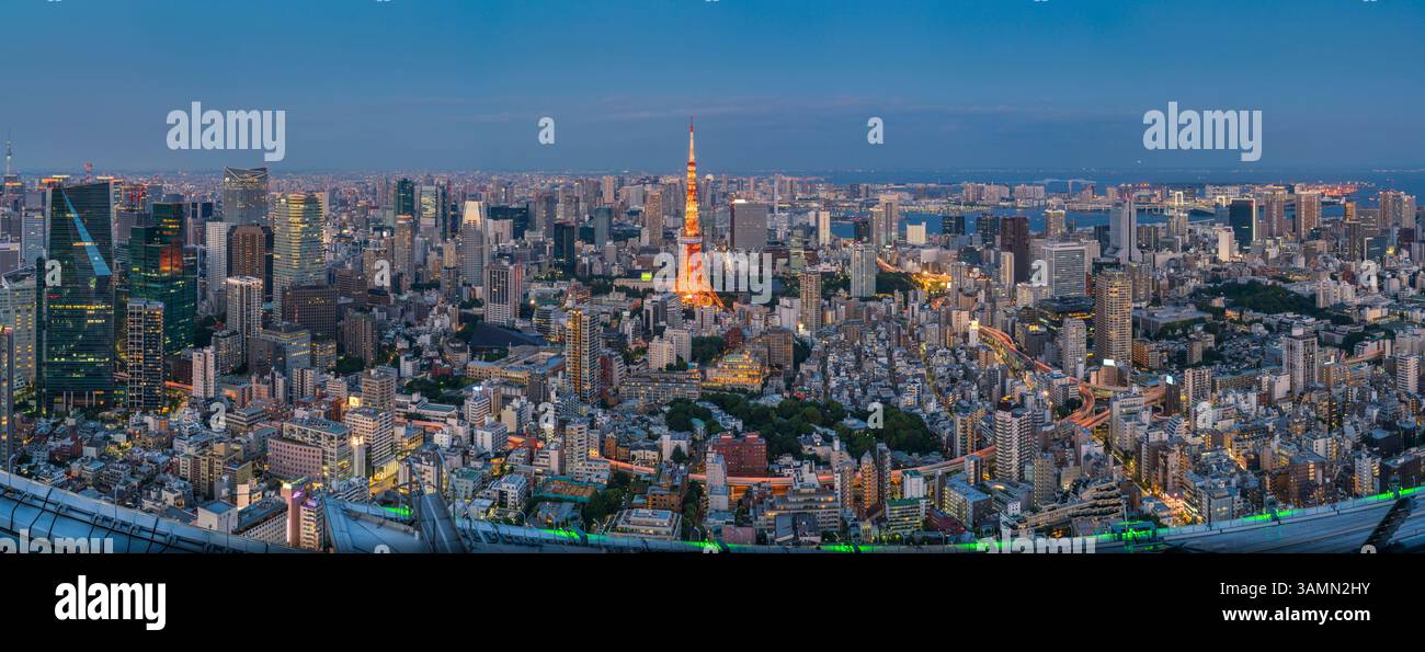 Aerial view of the Tokyo Tower in Tokyo downtown at night, Kanto region ...