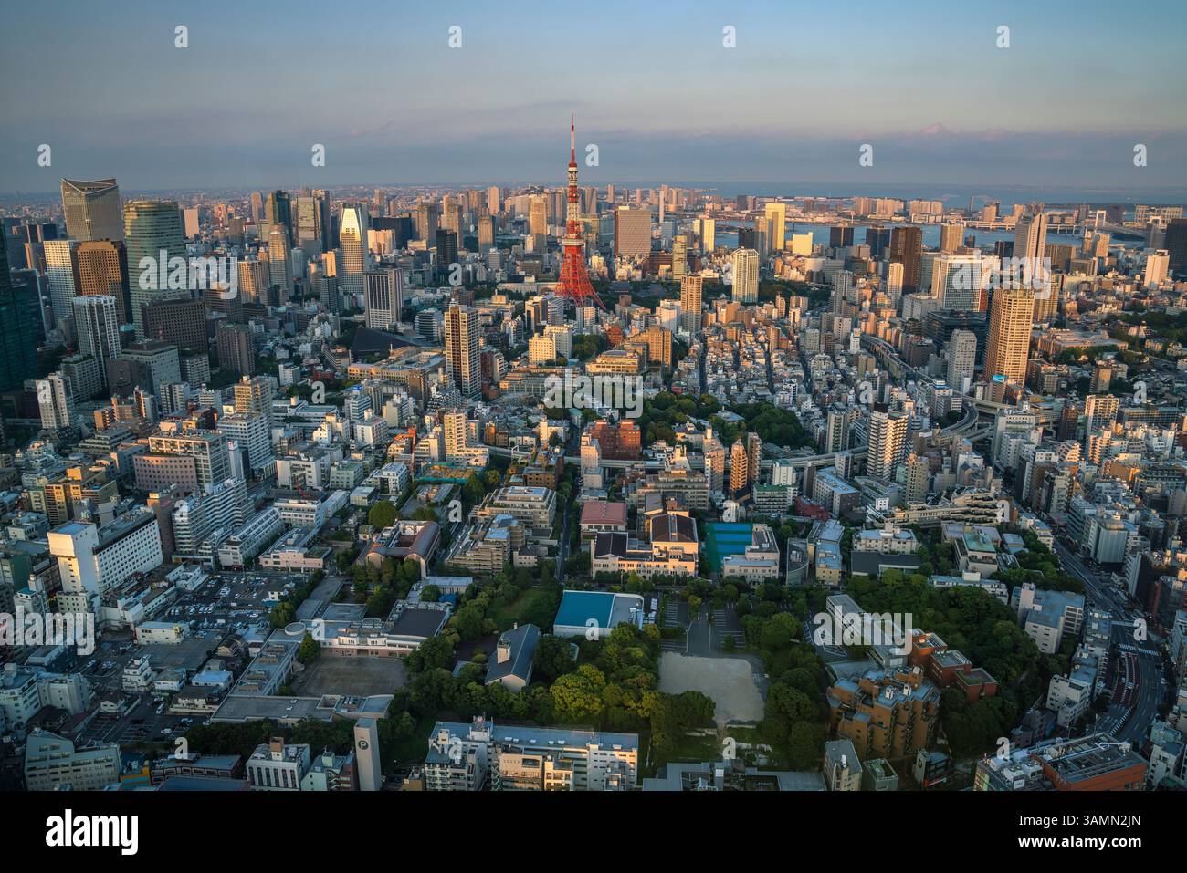 Aerial view of Tokyo downtown at sunset, Kanto region, Japan Stock Photo - Alamy