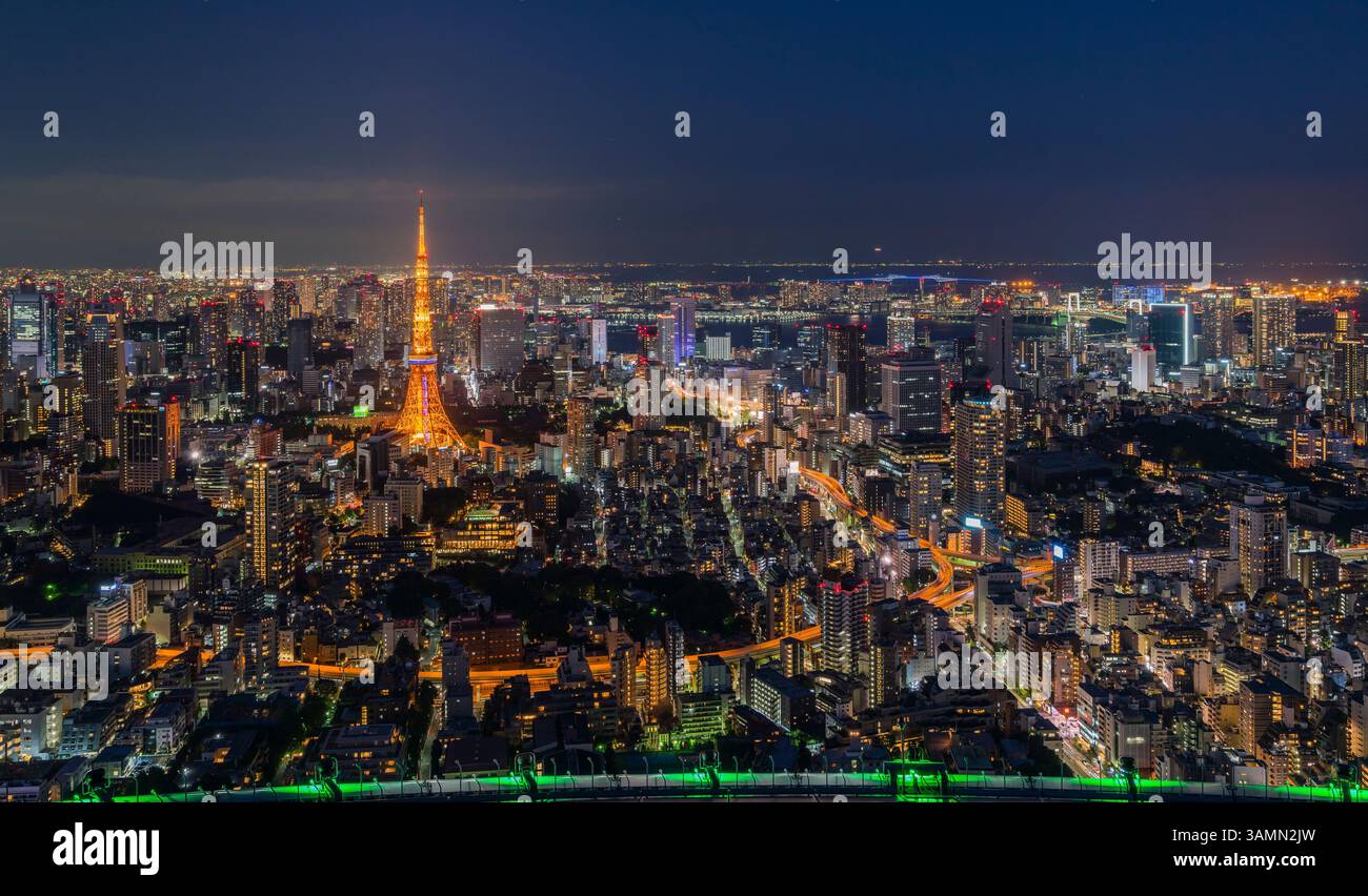 Aerial view of the Tokyo Tower in Tokyo downtown at night, Kanto region ...