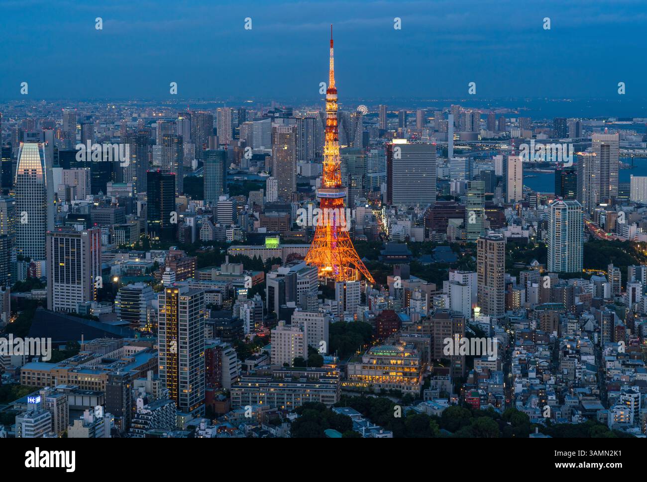 Aerial view of the Tokyo Tower in Tokyo downtown at night, Kanto region ...