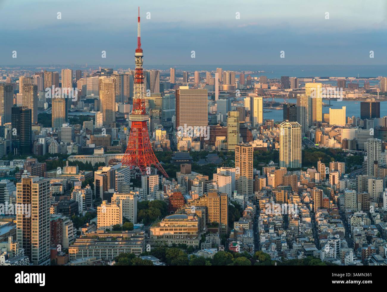 Aerial view of Tokyo downtown at sunset, Kanto region, Japan Stock ...