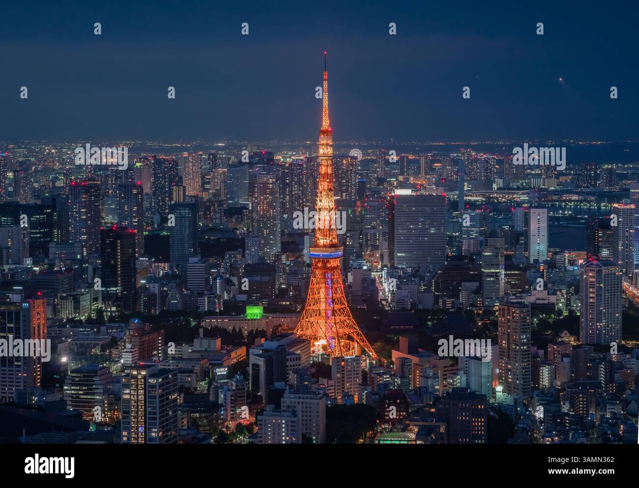 Aerial view of the Tokyo Tower in Tokyo downtown at night, Kanto region ...