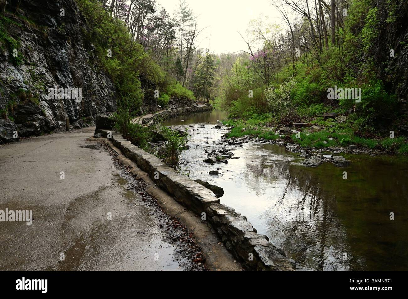 Cedar Creek in Virginia Stock Photo - Alamy