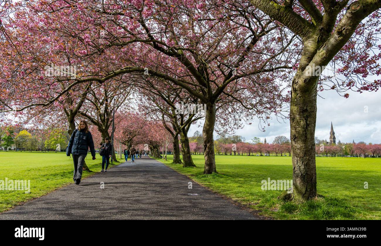 The Meadows, Edinburgh, Scotland, UK, 14th April 2025. UK Weather ...