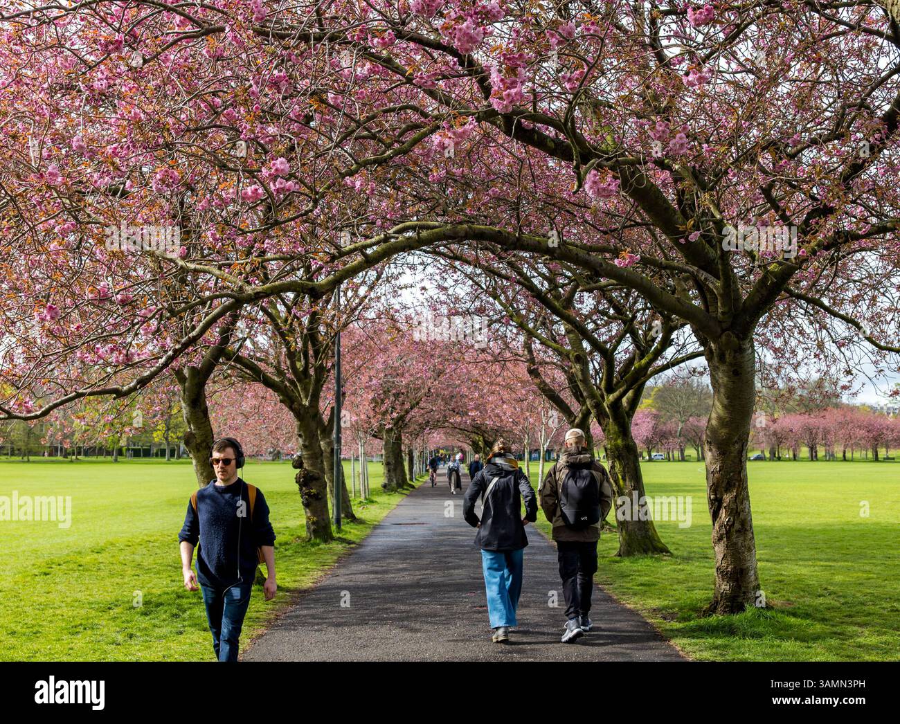 The Meadows, Edinburgh, Scotland, UK, 14th April 2025. UK Weather ...