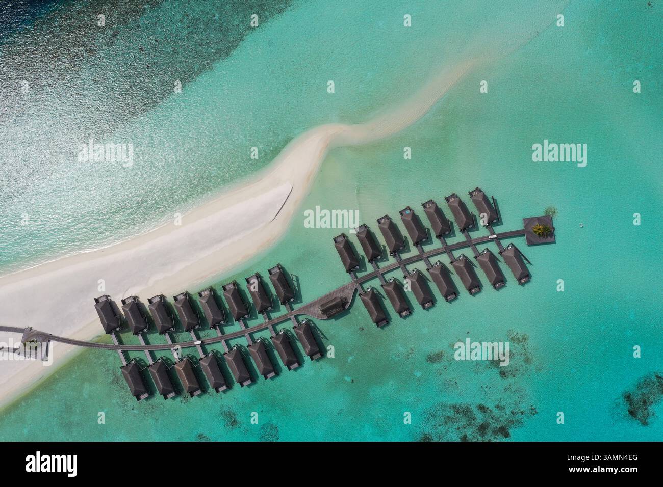 Aerial view of bungalows of a luxury resort along Moofushi Reef, Alif ...