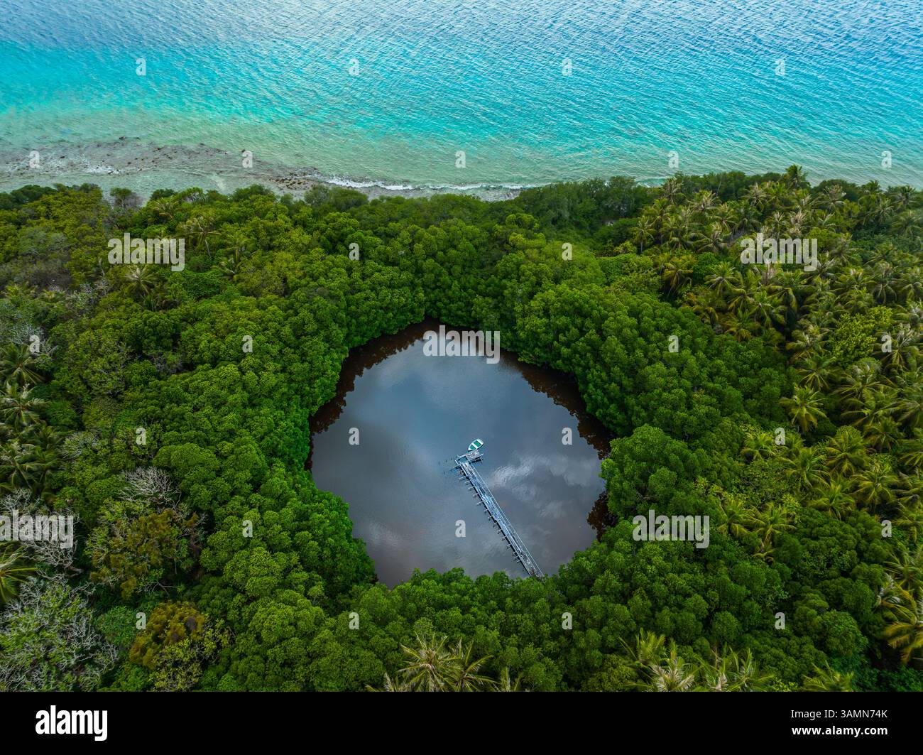 Aerial view of a small lake surrounded by forest and trees on ...